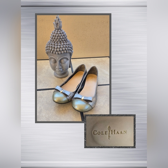 Cole Haan | Shoes | Cole Haan Womens Twotoned Metallic Silver Sage ...